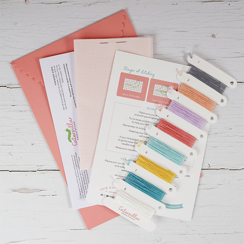 Beginner Cross Stitch Kits - Caterpillar Cross Stitch